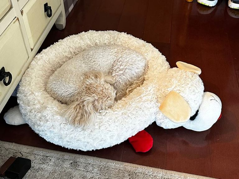 SO Cute! Multipet Lamb Chop Dog Bed Only $22.49 on Amazon (Reg. $40) | Hip2Save