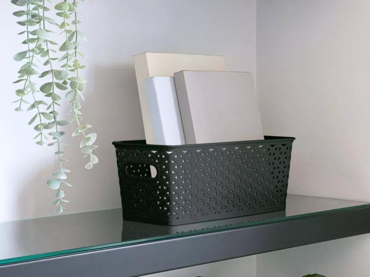 Target Brightroom Storage Baskets from $2 | Hip2Save