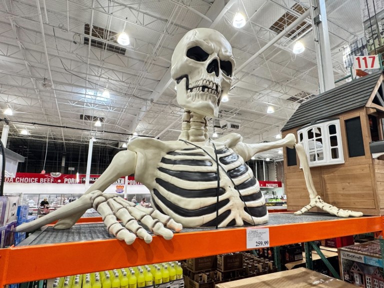 HUGE Disney Mickey Jack-O-Lantern Pumpkin at Costco + More Halloween ...