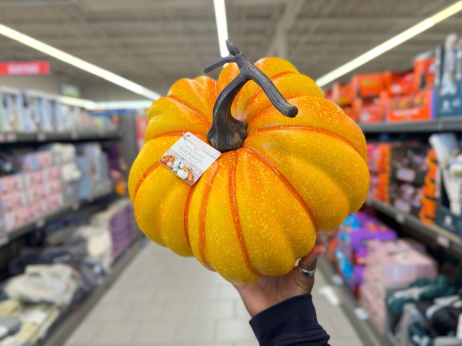 New ALDI Weekly Finds | Fall Kitchenware, Decor, & Much More! | Hip2Save