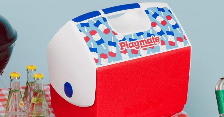 Igloo Playmate 16-Quart Cooler Only $19.97 on Walmart.com | Cute Summer ...