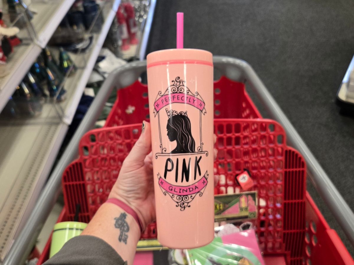 Target Bullseye Playground Finds - Wicked Collection Tumblers, Journals ...