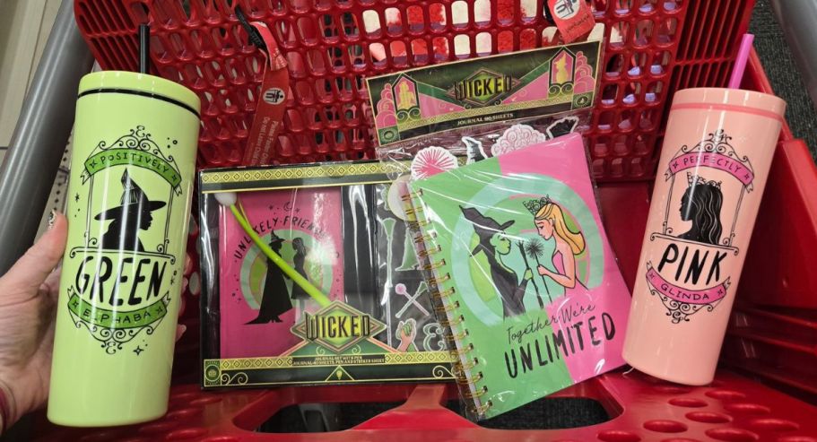 Target Bullseye Playground Finds - Wicked Collection Tumblers, Journals ...