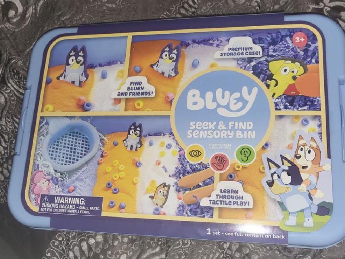 Bluey Seek & Find Sensory Bin Just $13.99 on Amazon (Reg. $20) | Hours ...