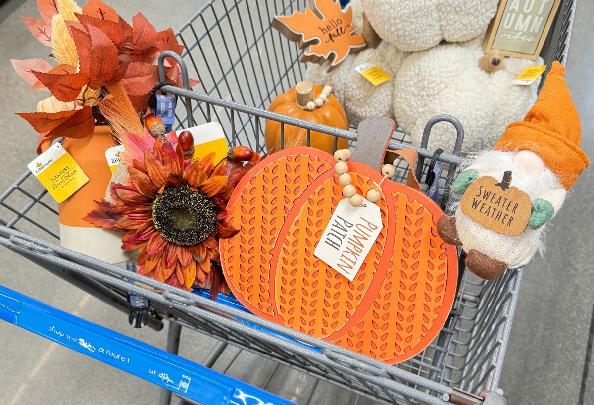 Walmart Fall Decor Items | Autumn-Themed Home Accents from 98¢ | Hip2Save