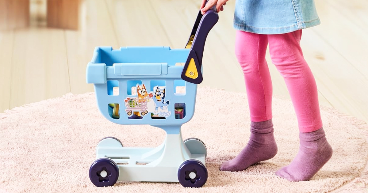 Bluey Shopping Cart w/ Accessories Only $13.99 on Amazon (Reg. $20 ...