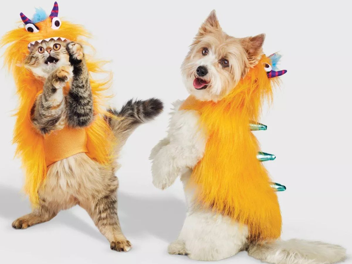 Don't Miss These NEW Target Pet Costumes - Many on Sale for $10.40 ...