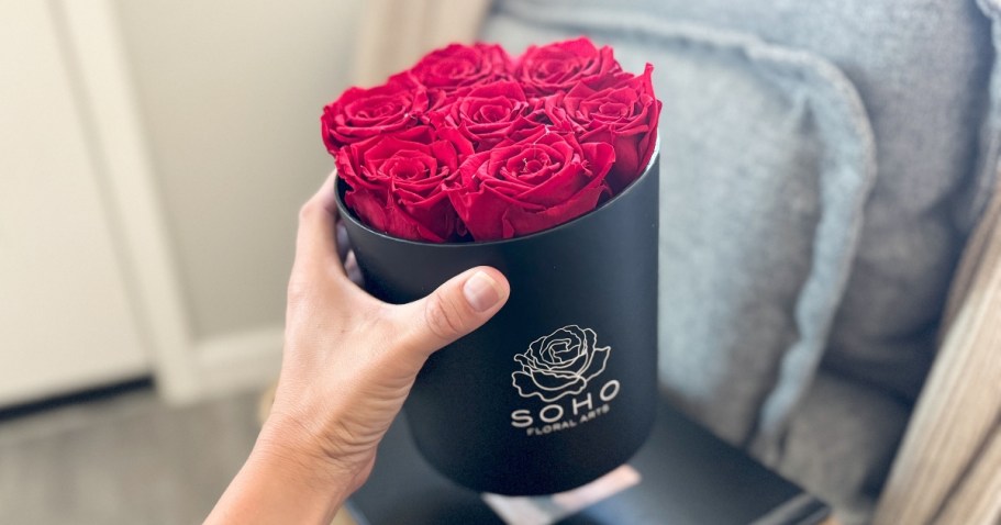Preserved Rose Bouquets from $12 Shipped for Amazon Prime Members ...