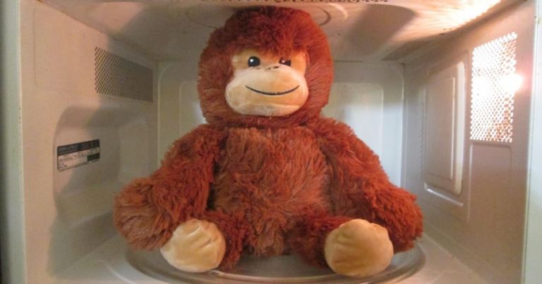 Score 50% Off Heatable Stuffed Animals on Amazon | Make it a Hot or ...
