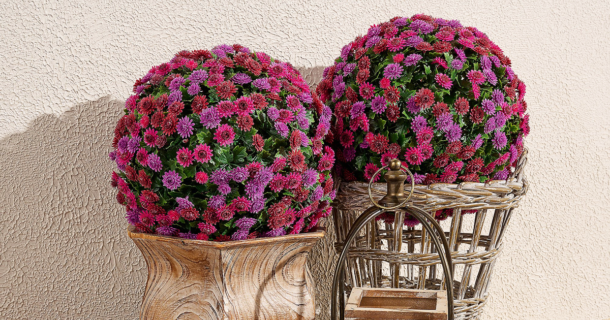 Faux Mum Spheres 2-Pack from $40.48 Shipped (Adds a Quick Burst of Fall ...