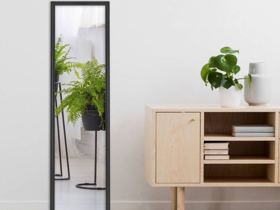 Target Framed Door Mirror Just $4.90! | Hip2Save