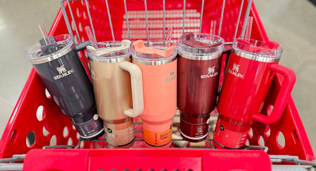 Teen Gift Idea: Stanley elf Tumblers with Matching Lip Oil Holders ...