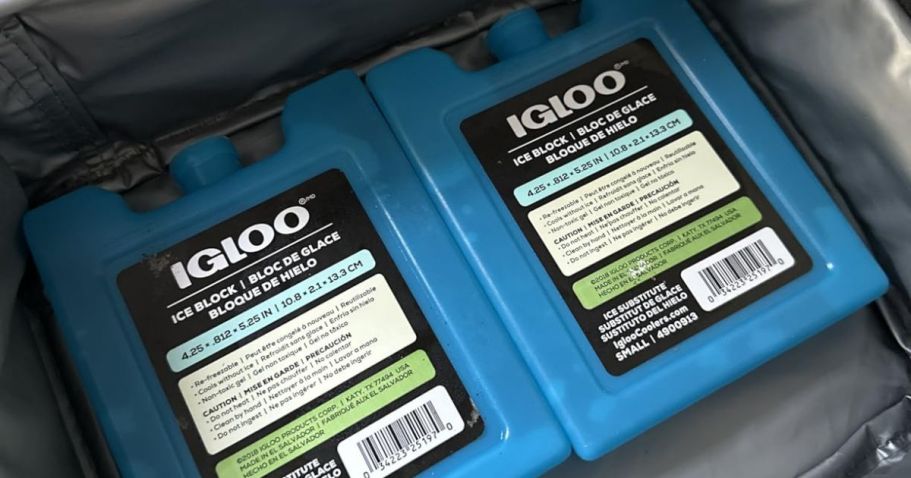 Igloo Reusable Ice Block Just 98¢ on Amazon (Keeps Your Lunch Cold All ...