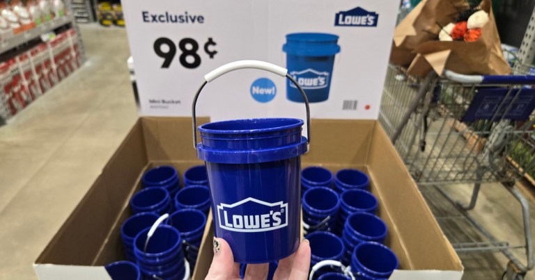 Viral Lowe’s Mini Buckets Just 98¢ - But May Sell Out (40K Sold Last ...