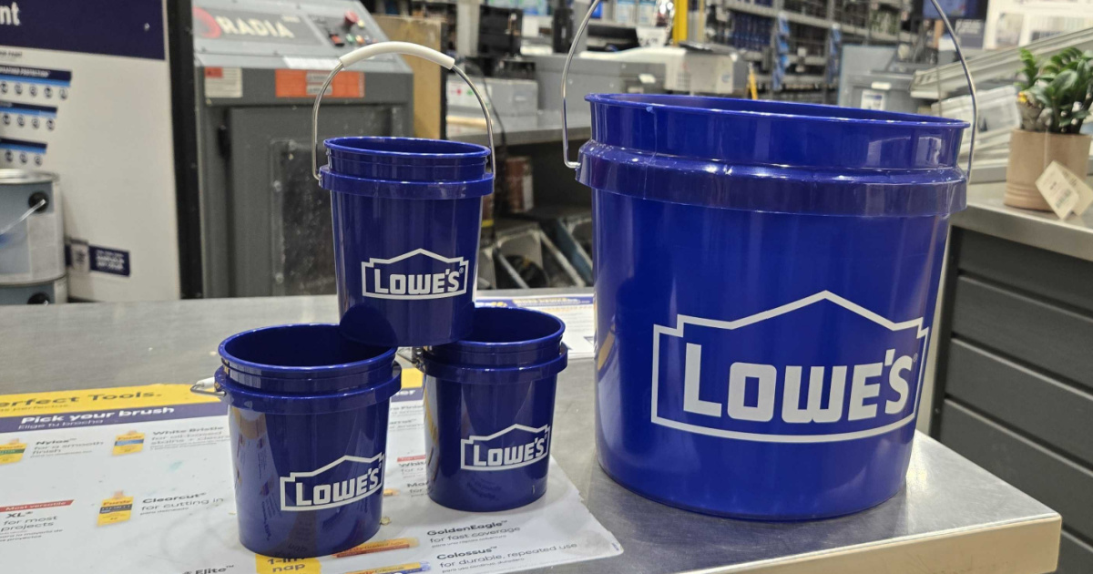 Viral Lowe's Mini Bucket Only $1.98 + NEW 5-Gallon Pink Bucket Now ...
