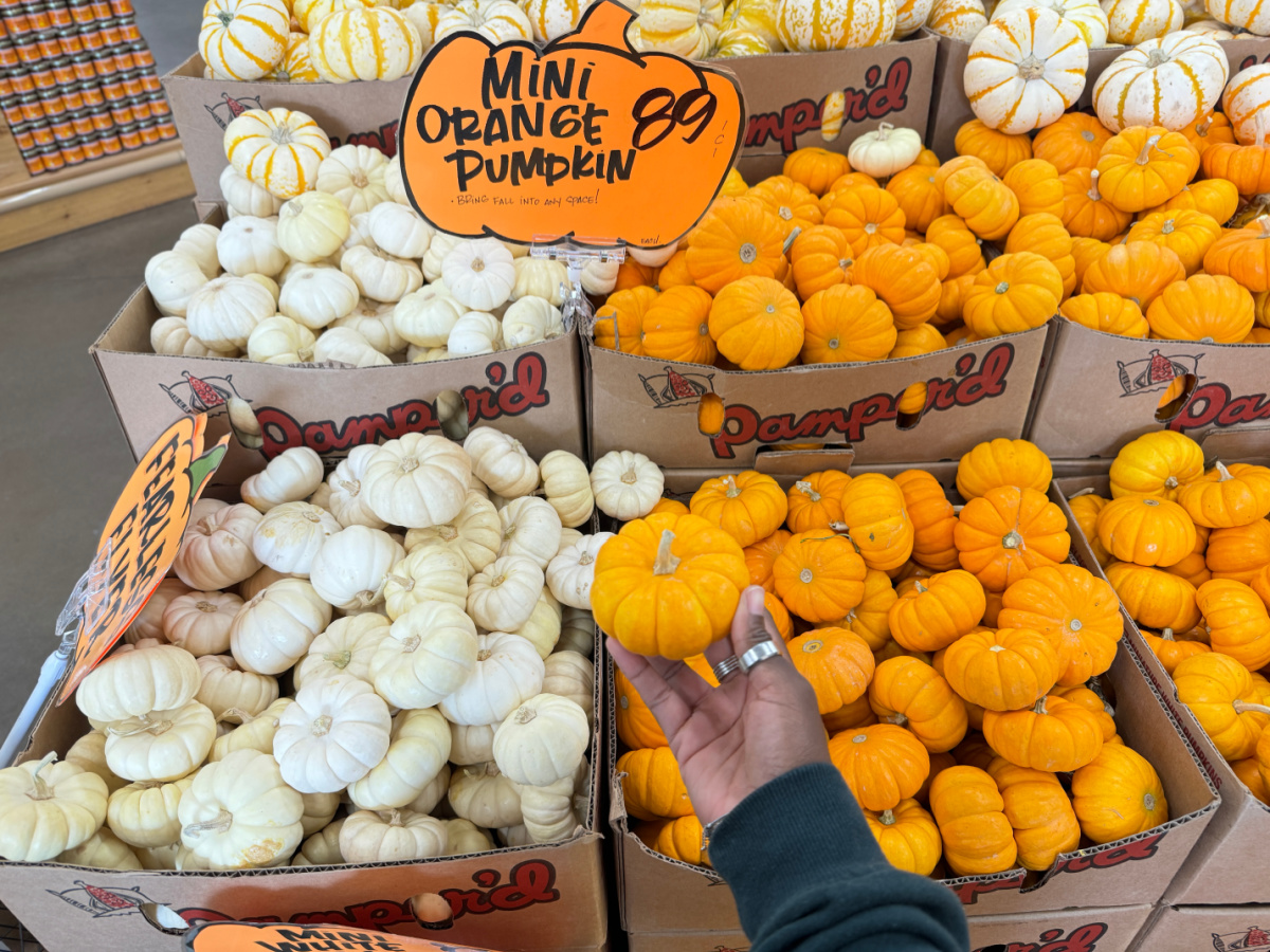 Where to Buy Pumpkins for Halloween 2024 — Score Them Cheap at These ...
