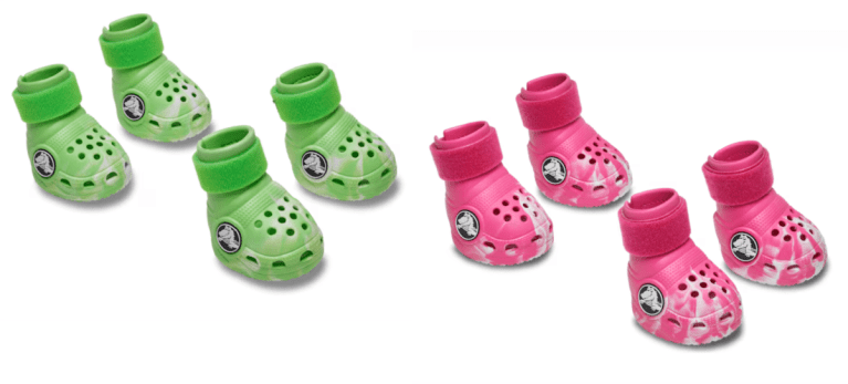 GO! Matching Crocs for You & Your Furry BFF Are Available Now & Selling ...