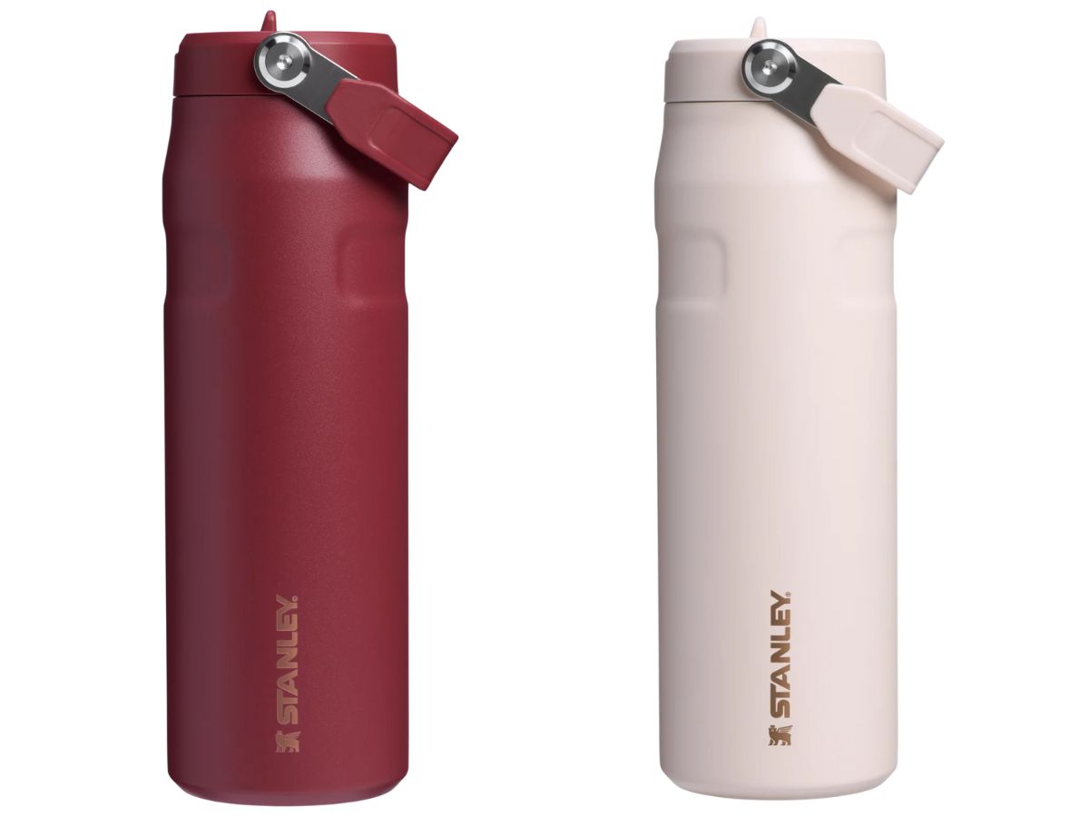 Stanley's NEW Winter Shimmer Collection is Perfect for Christmas | Hip2Save