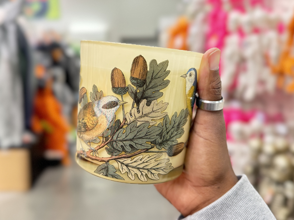 HURRY! John Derian for Target Collection Now Available (Charming Fall ...