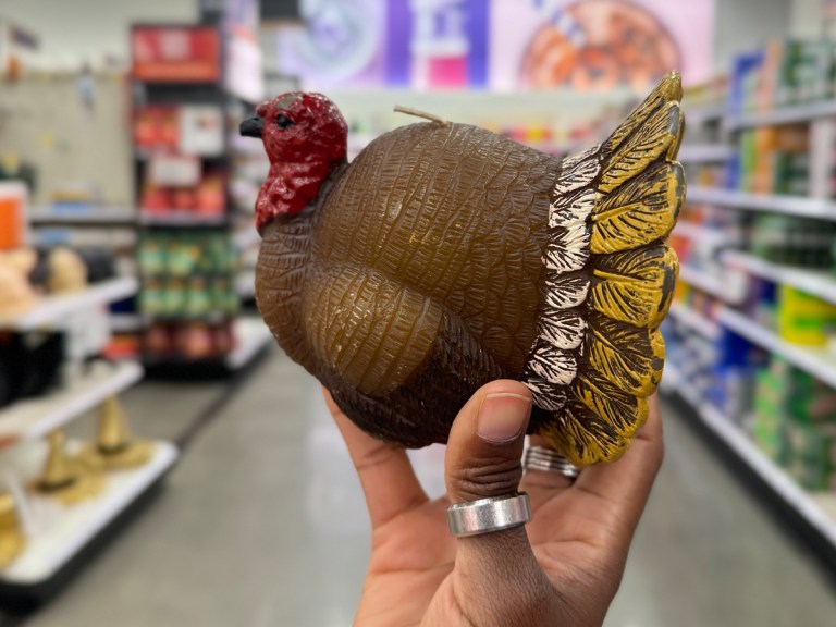 HURRY! John Derian for Target Collection Now Available (Charming Fall ...