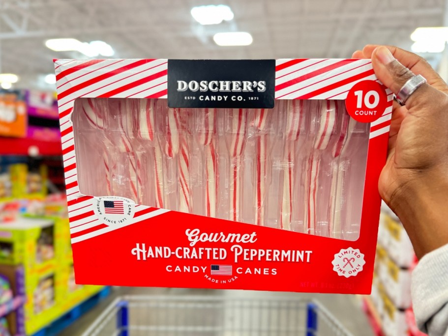 Over 25 of the BEST Christmas Treats to Grab at Sam's Club | Hip2Save