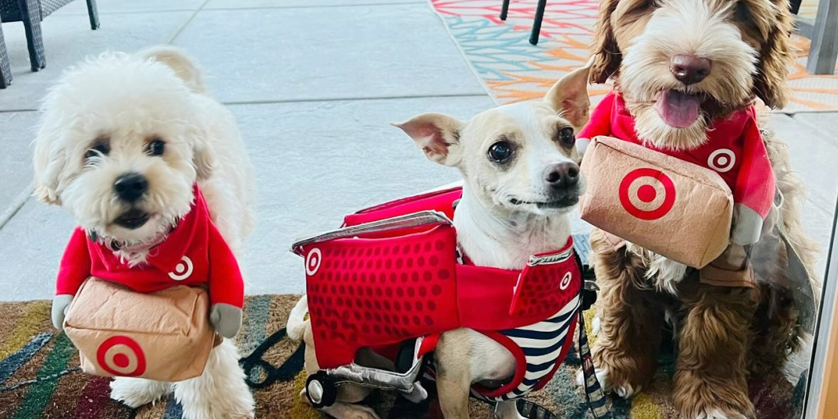 Best Things to Buy at Target Right Now | Hip2Save