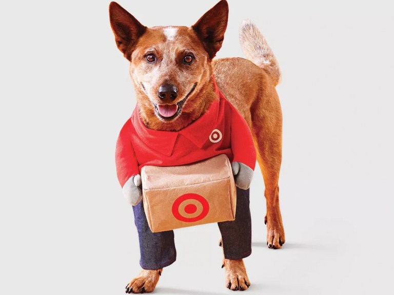 40% Off Target Pet Costumes | Spooky Cute Styles from $3! | Hip2Save