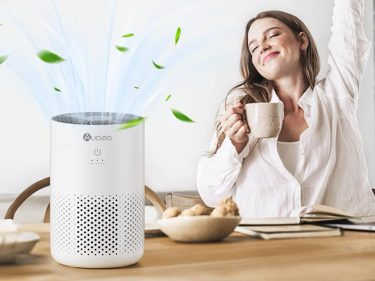 HEPA Air Purifier Only $19.99 on Amazon (Reg. $40) | Hip2Save