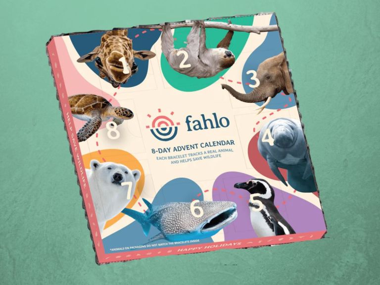 Fahlo’s Limited-Edition Advent Calendar w/ Animal Tracking Bracelets ...