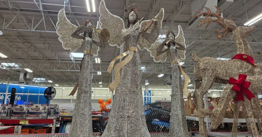 Sam's Club Has Already Dropped Christmas Decorations! | Hip2Save