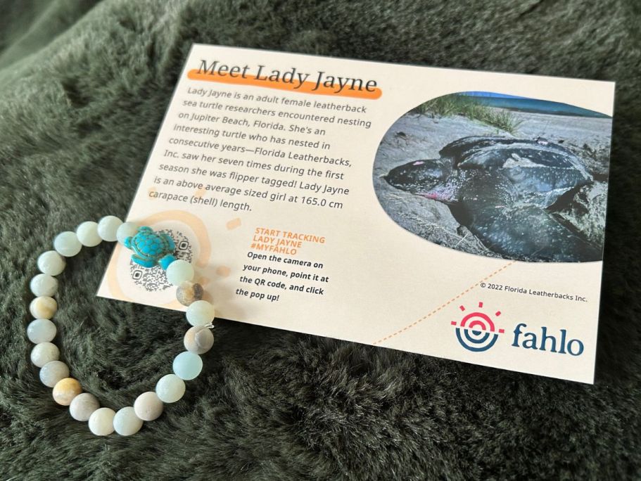 Track a Great White Shark with Fahlo’s Shark Bracelet – For the First ...
