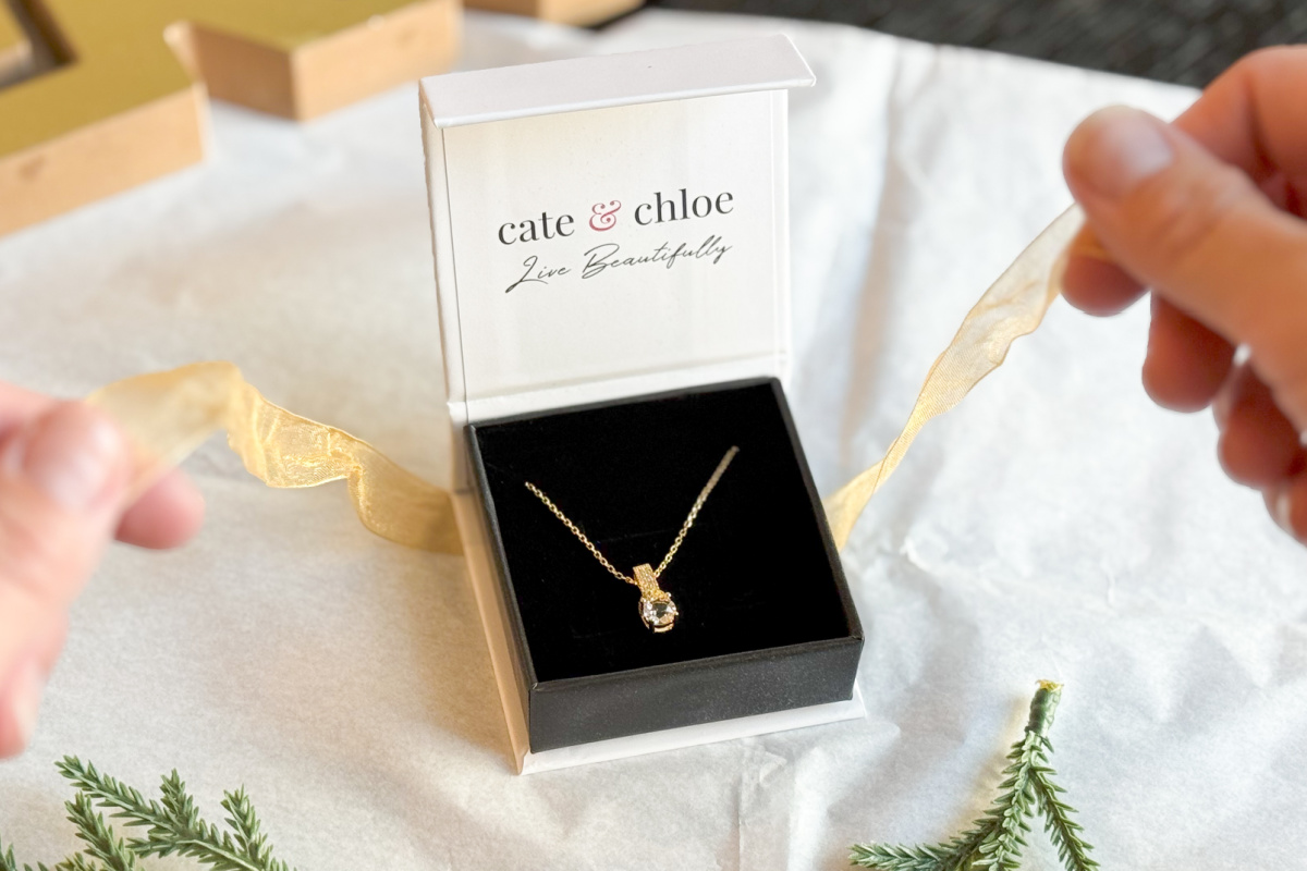 Cate & Chloe Pendant Necklace in Gift Box ONLY $18 Shipped (Perfect ...
