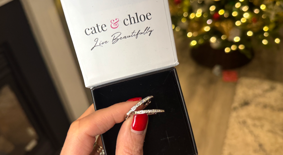 Cate & Chloe Hoop Earrings w/ Gift Box Just $14.99 | Hip2Save