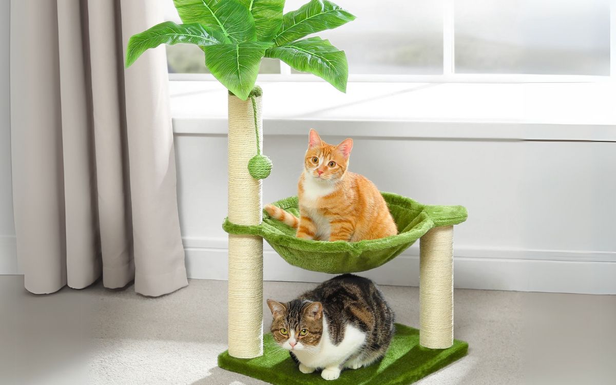 Up to 60% Off Walmart Cat Trees | Palm Cat Tree Only $19.99 (Regularly ...