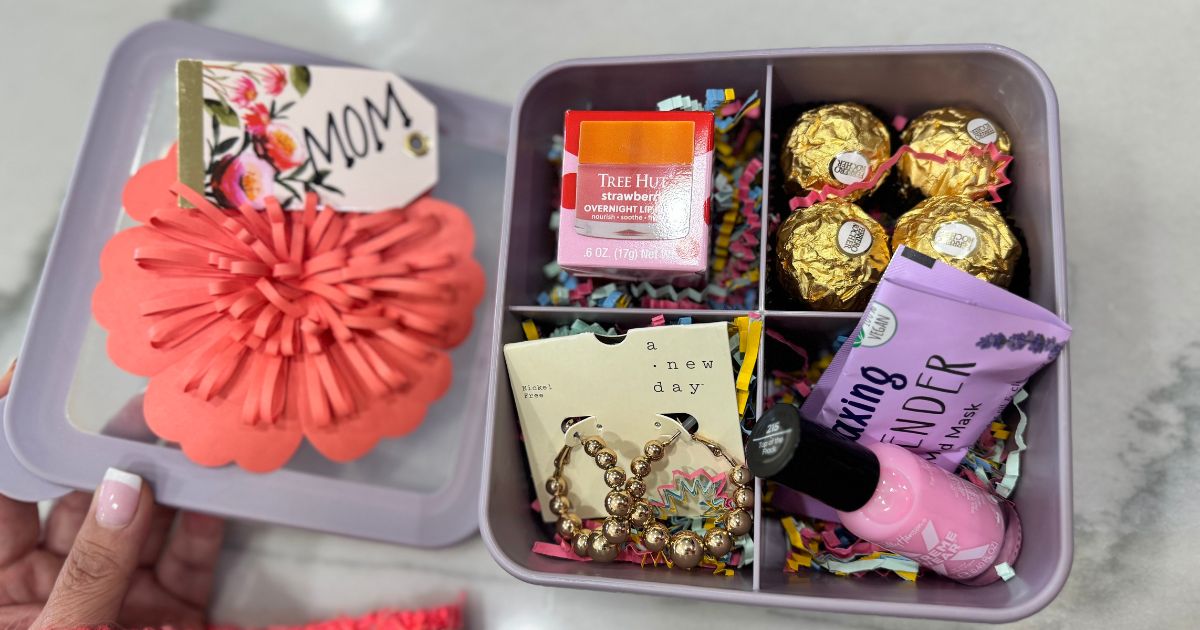 New Snackle Boxes Just $10 at Target | Perfect for Beach Days & Road ...