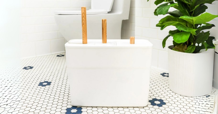 The Home Edit Bathroom Set Just $24.98 on Walmart.com – Includes Brush, Plunger, & Trash Can ...