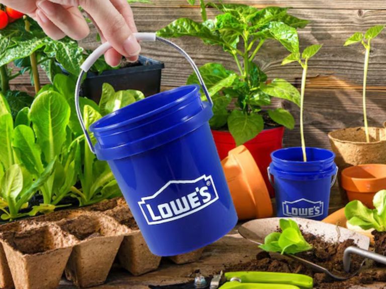 Viral Lowe's Mini Bucket Only $1.98 + NEW 5-Gallon Pink Bucket Now ...