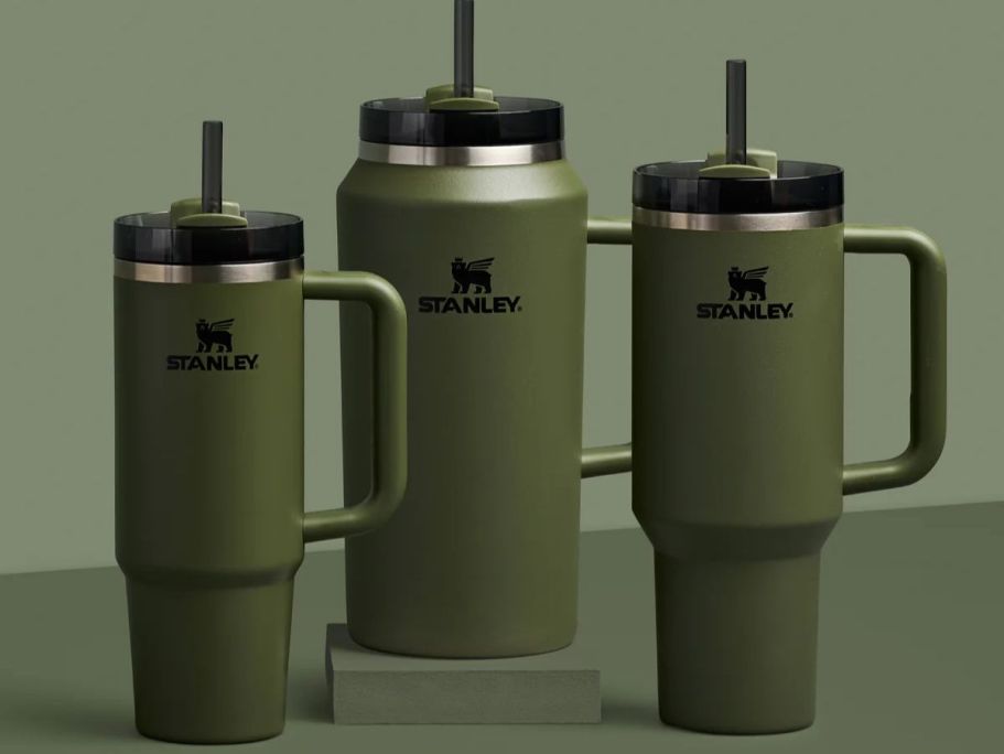 New Stanley Tumbler Colors Available NOW! | Hip2Save