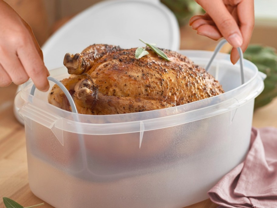 Tupperware XL Food Storage Container Just $13.49 at Costco (Fits ...