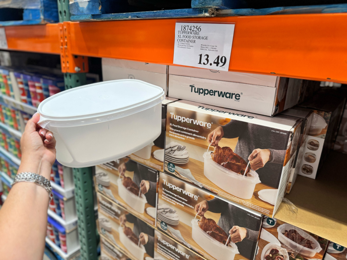Tupperware XL Food Storage Container Just $13.49 at Costco (Fits ...