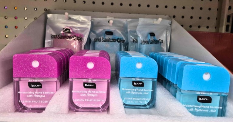 New Hand Sanitizer Scents & Cases Just $1.25 at Dollar Tree – Way ...