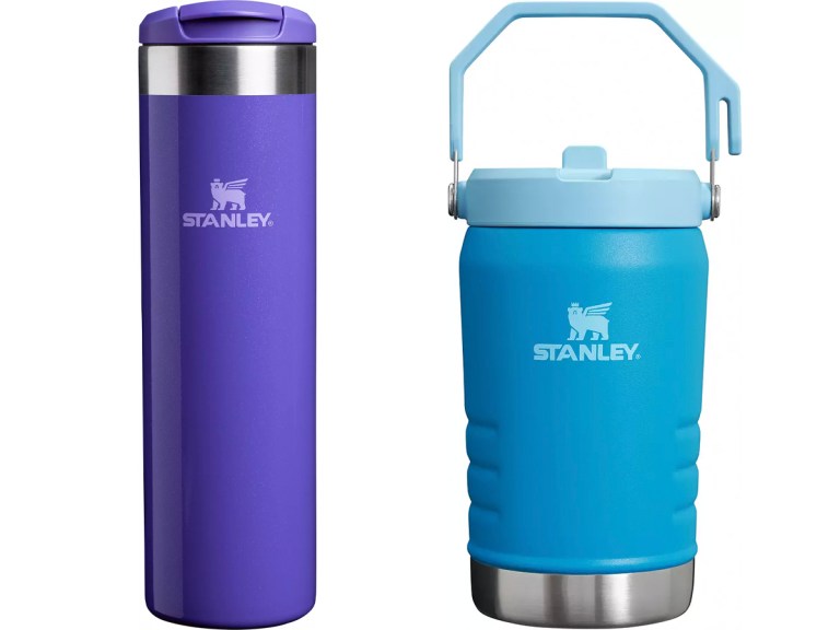 Stanley x CALIA Tumblers Only $26 at Dick's Sporting Goods (Reg. $40 ...