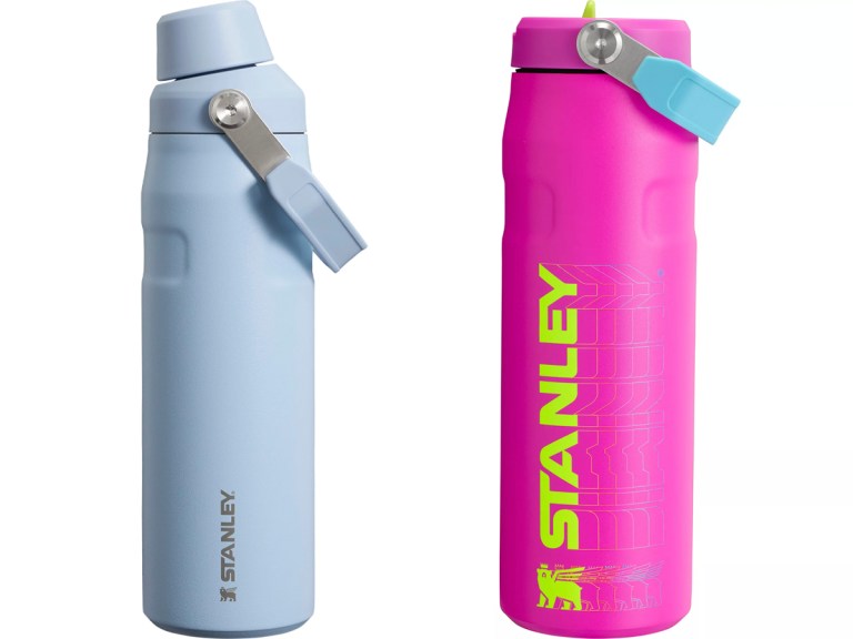 Stanley x CALIA Tumblers Only $26 at Dick's Sporting Goods (Reg. $40 ...