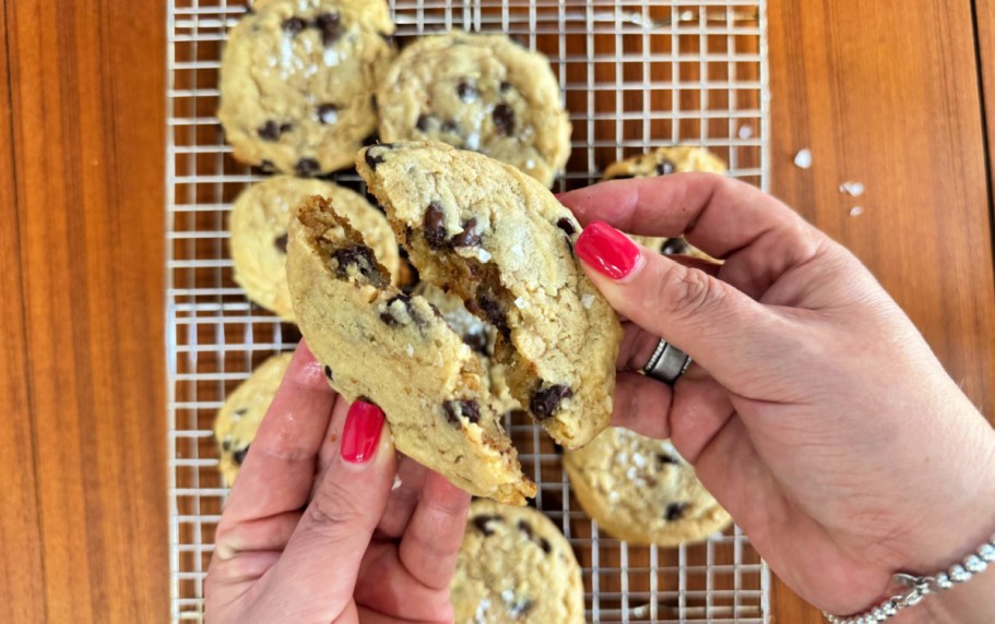 Bake Soft & Chewy Sourdough Discard Chocolate Chip Cookies!