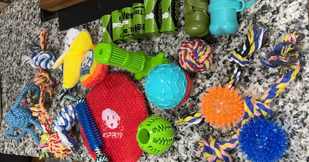 Highly Rated Dog Training Toys 25-Pack JUST $16.99 on Amazon (Regularly ...
