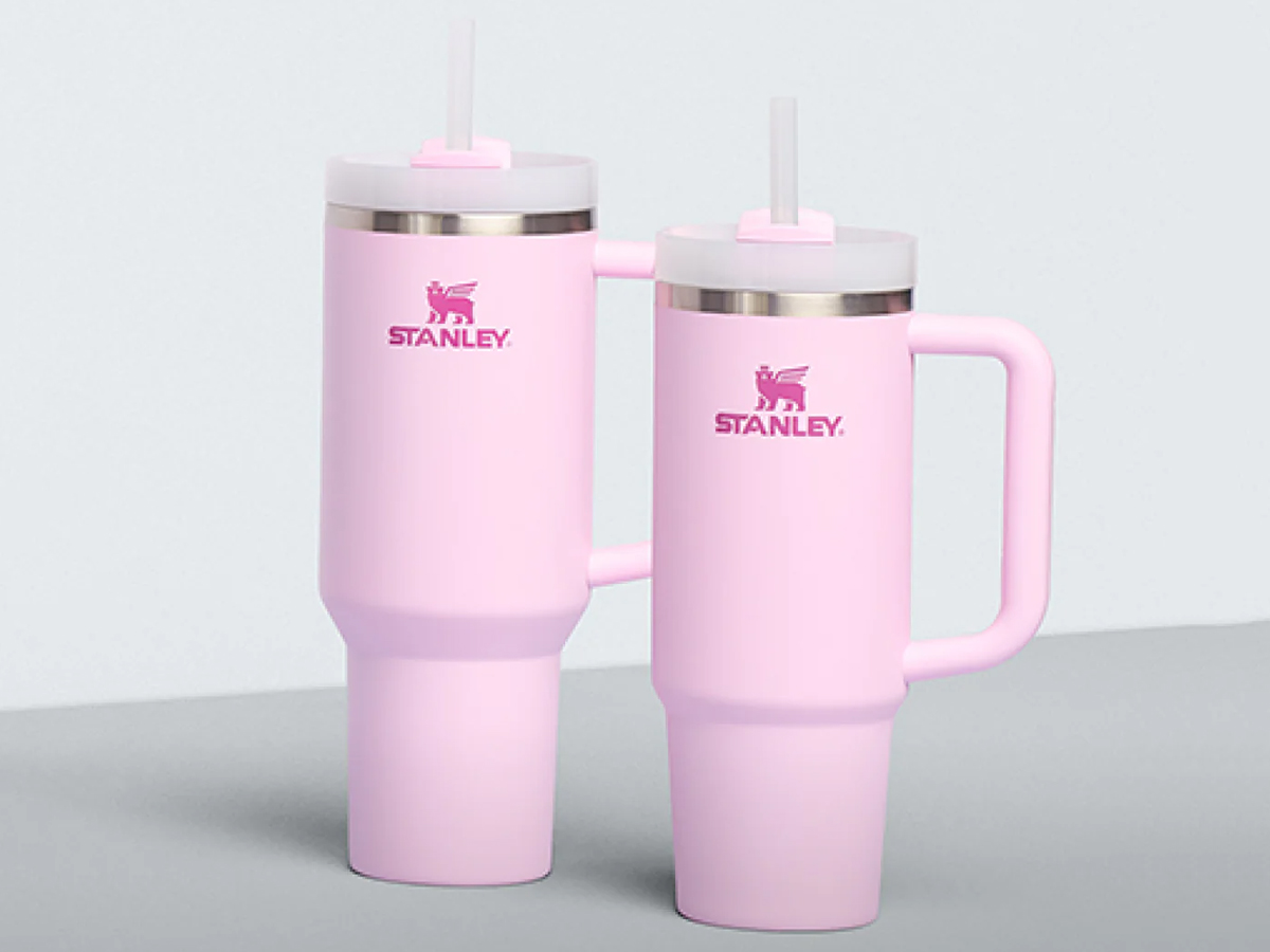 New Stanley Tumbler Colors Available NOW! | Hip2Save