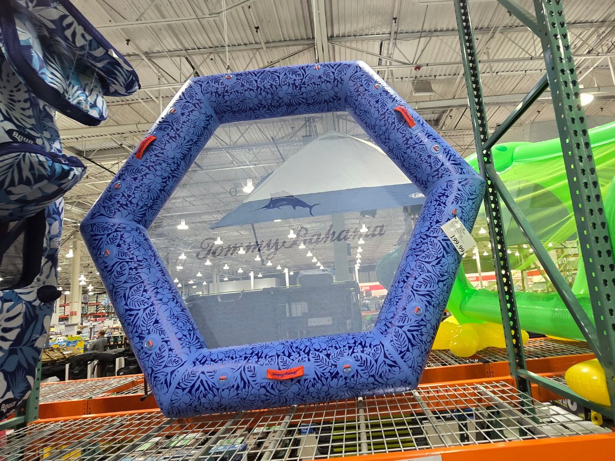 H2OGO! Froggy Fun Inflatable Sprinkler Tunnel at Costco (Almost 10 ...