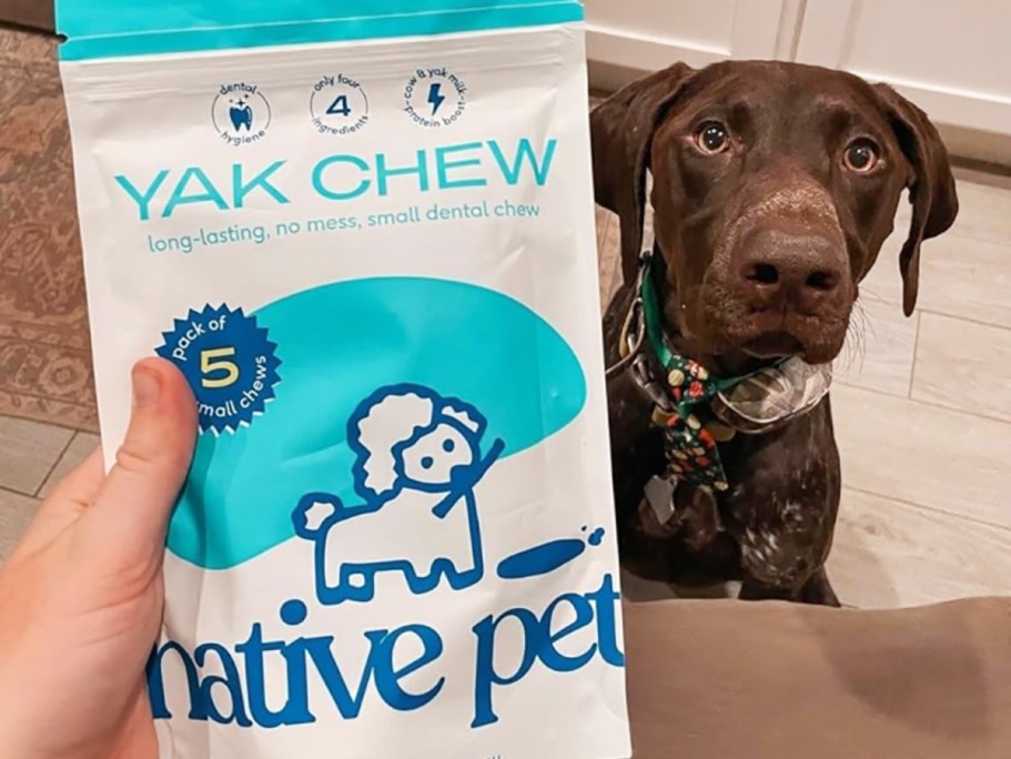 Native Pet Yak Dog Chews 5-Pack Only $9 Shipped on Amazon (Great for ...