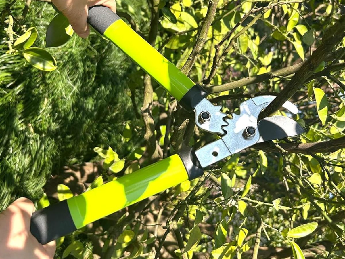 Pruning Shears & Lopper 2-Piece Set Only $11.99 on Amazon | Hip2Save