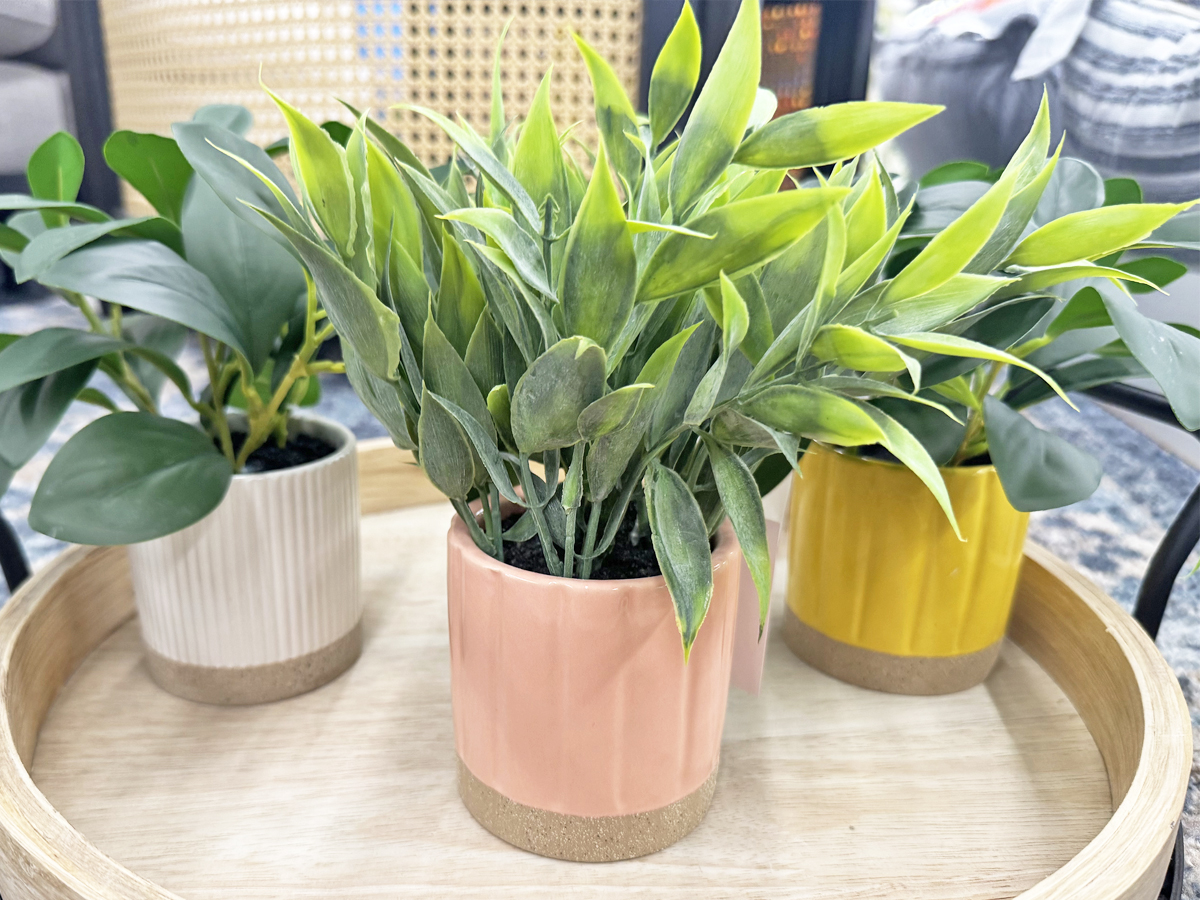 Potted Faux Plants Only $4.98 at Walmart | Hip2Save